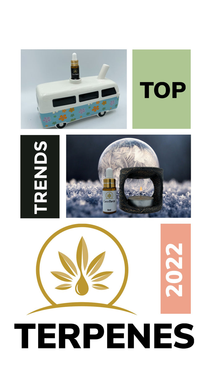 Top Trends in Terpenes in 2022 – CannTerp Premium Terpenes