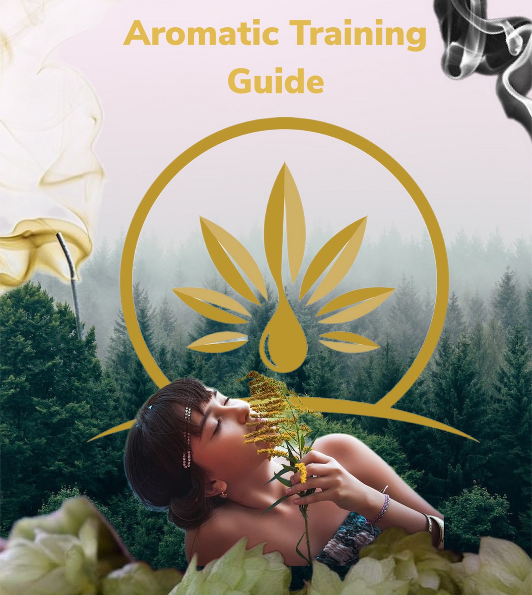 Your Comprehensive Guide to Aromatic Training (5 Minute Read ...