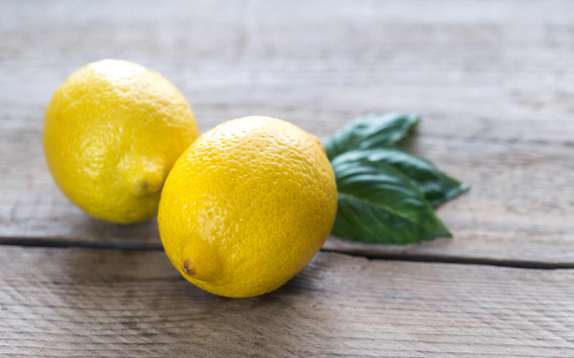 What is Limonene? | Blog | CannTerp – CannTerp Premium Terpenes