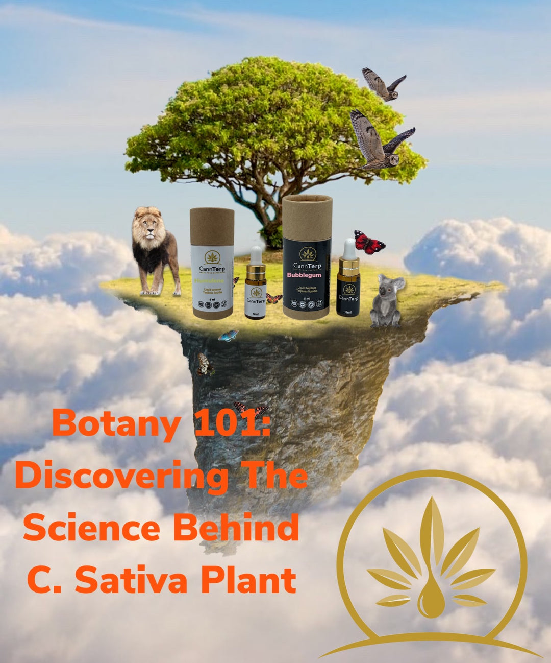 Botany 101: Discovering the Science Behind C. Sativa Plant – CannTerp ...