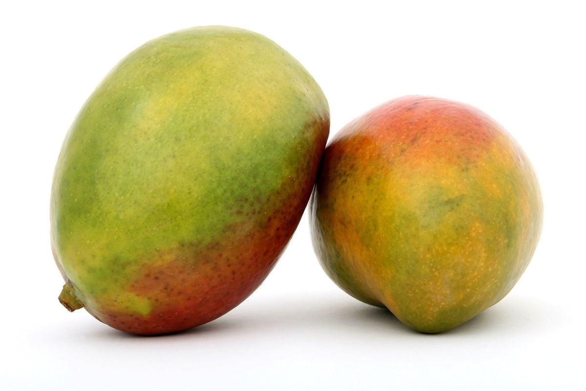 What's Myrcene? How Do You Use It? | Blog | CannTerp – CannTerp Premium ...