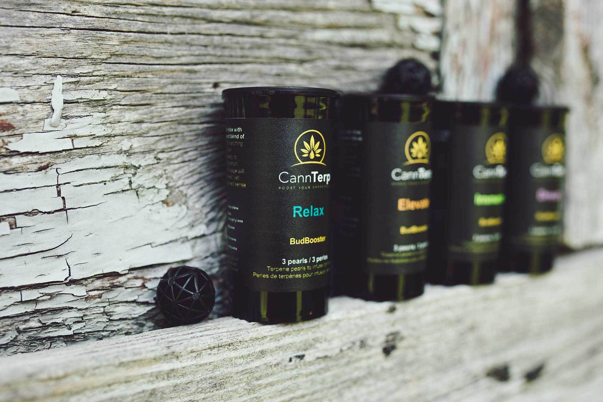 CannTerp | Terpene Infusion | BudBooster & BongBooster – CannTerp ...