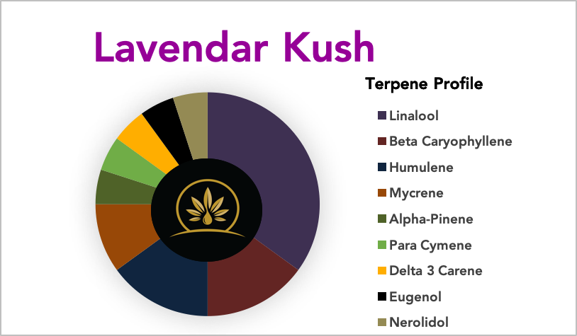 Lavender Kush - Terpene Strain Profile | Shop | CannTerp – CannTerp ...